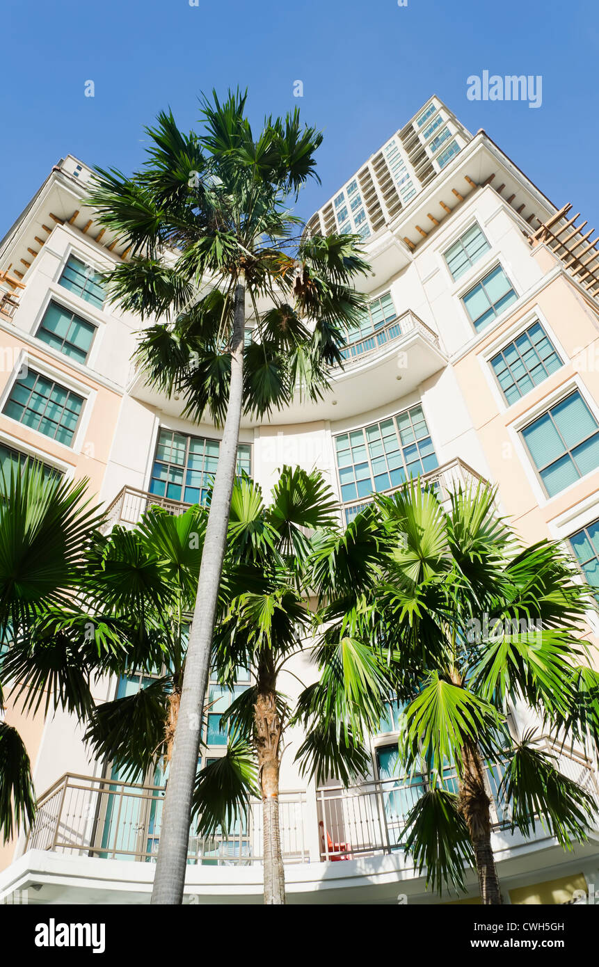 Residential and commercial building with palm trees in front Stock ...