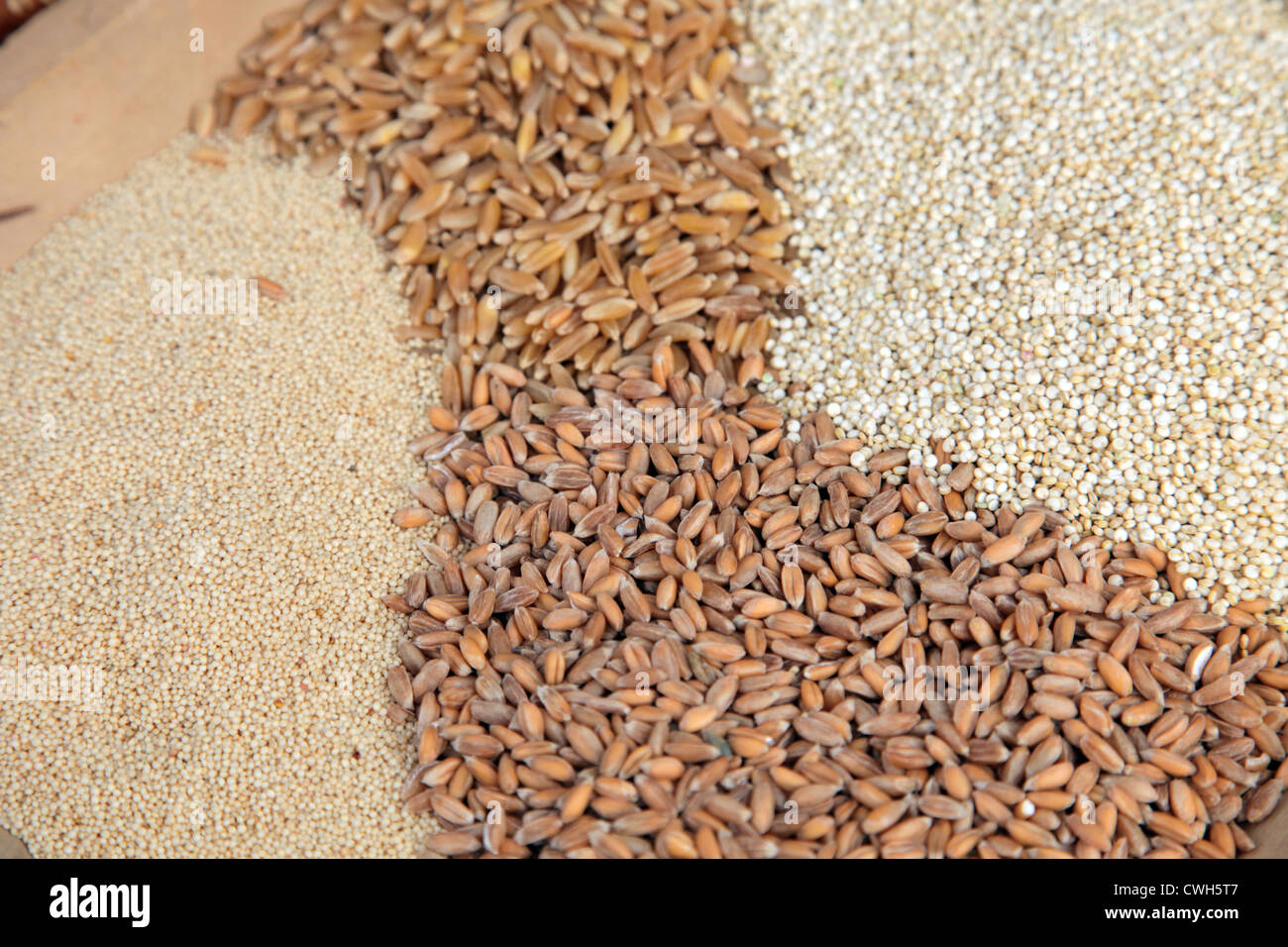 Background of different kinds of grains close up Stock Photo - Alamy