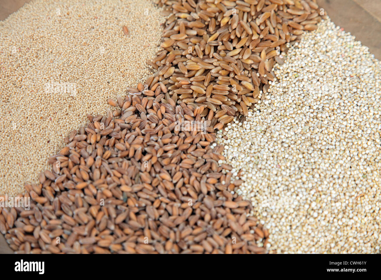 Background of different kinds of grains close up Stock Photo - Alamy