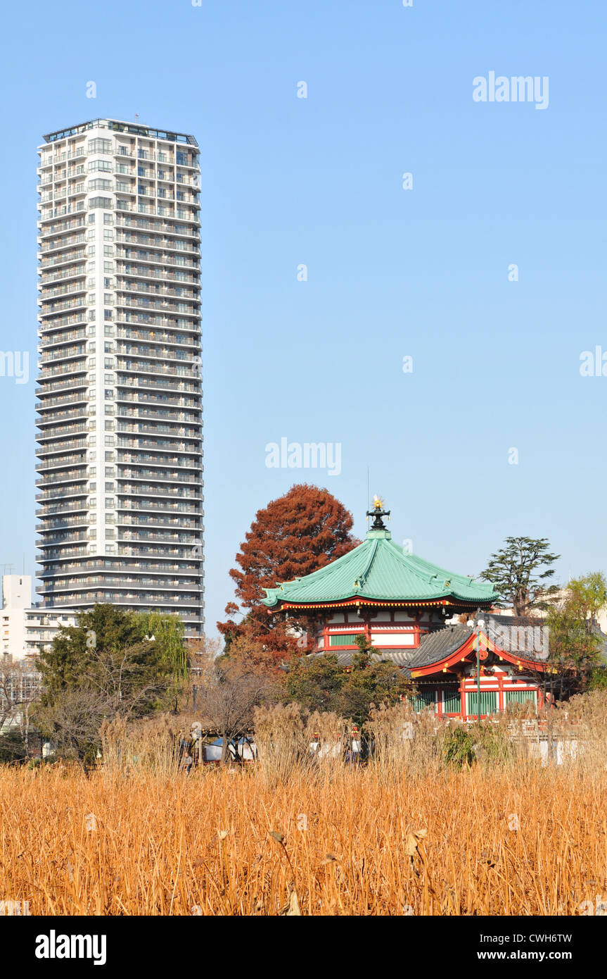 Shinobazu Pond in Ueno park and Tokyo skyline at sunset Stock Photo - Alamy