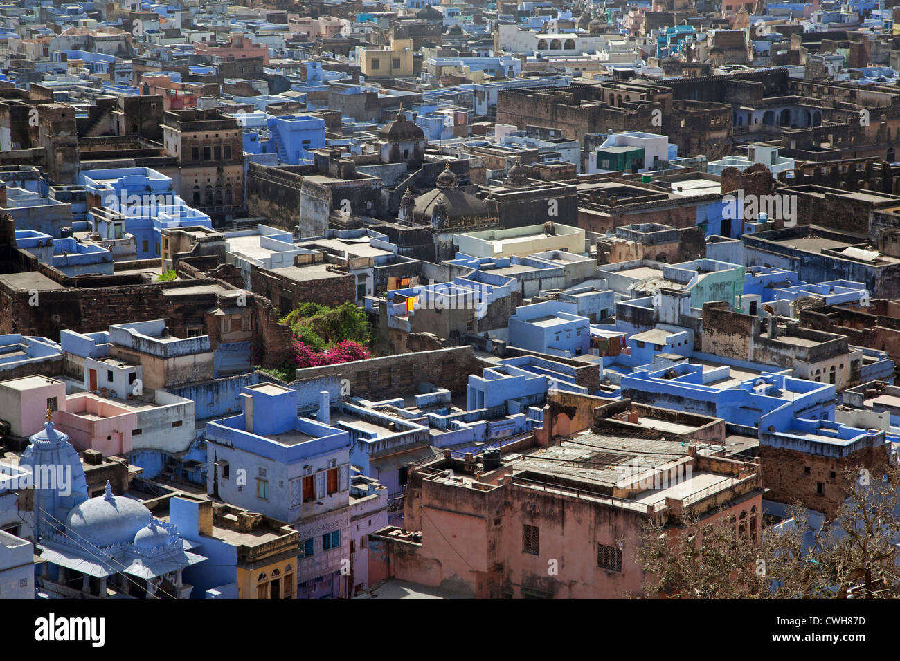 Brahmin caste hi-res stock photography and images - Alamy