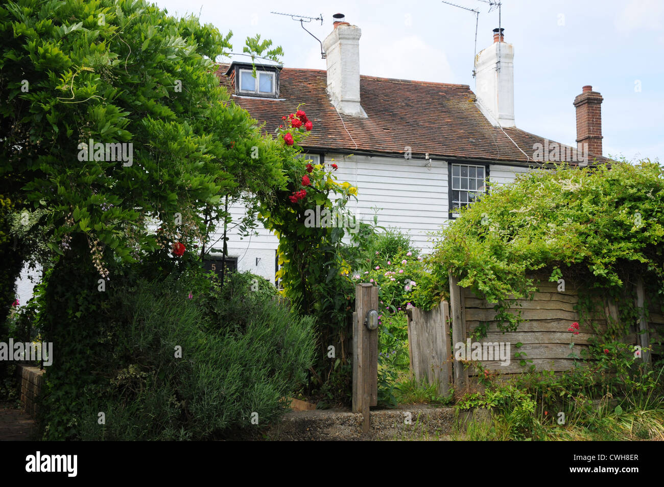 white clapboard cottages, red roses, wooden fence, tiled roof, english ...