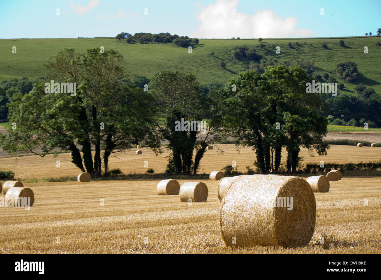 Harvest time, Kent, England UK Stock Photo - Alamy