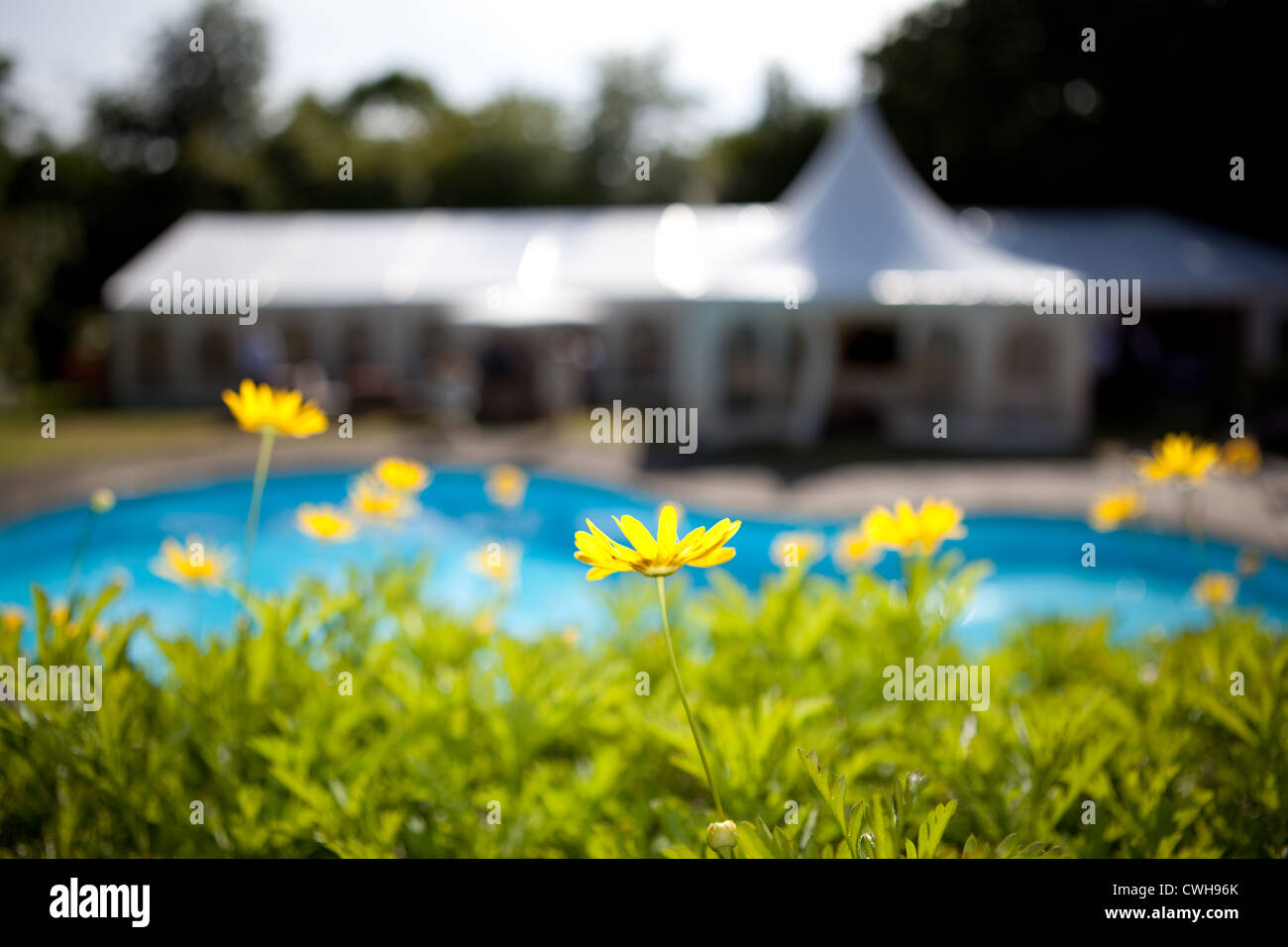 Bella luce hi-res stock photography and images - Alamy