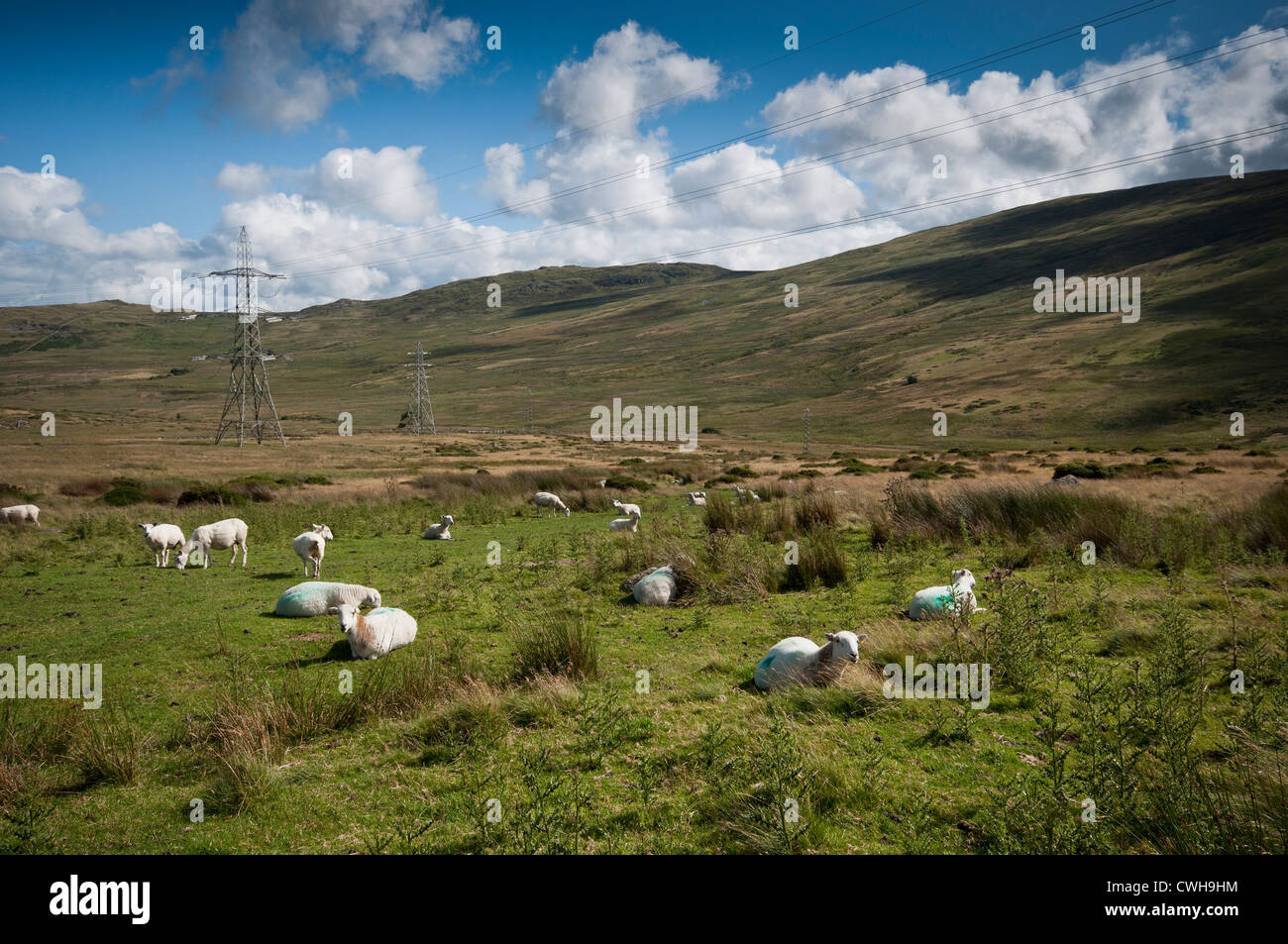 Bwlch-y-Ddeufaen mountain pass Carneddau range North Snowdonia Stock ...