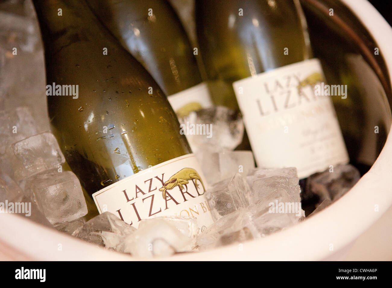 Lazy lizard hi-res stock photography and images - Alamy