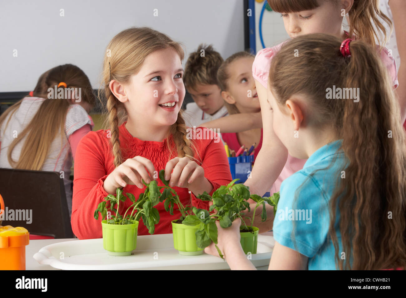 Children learning plants in school hi-res stock photography and images ...