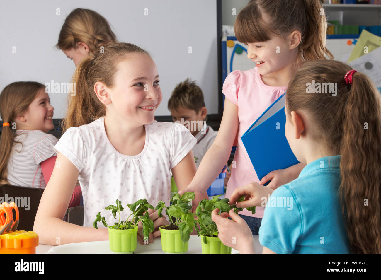 Children learning plants in school hi-res stock photography and images ...