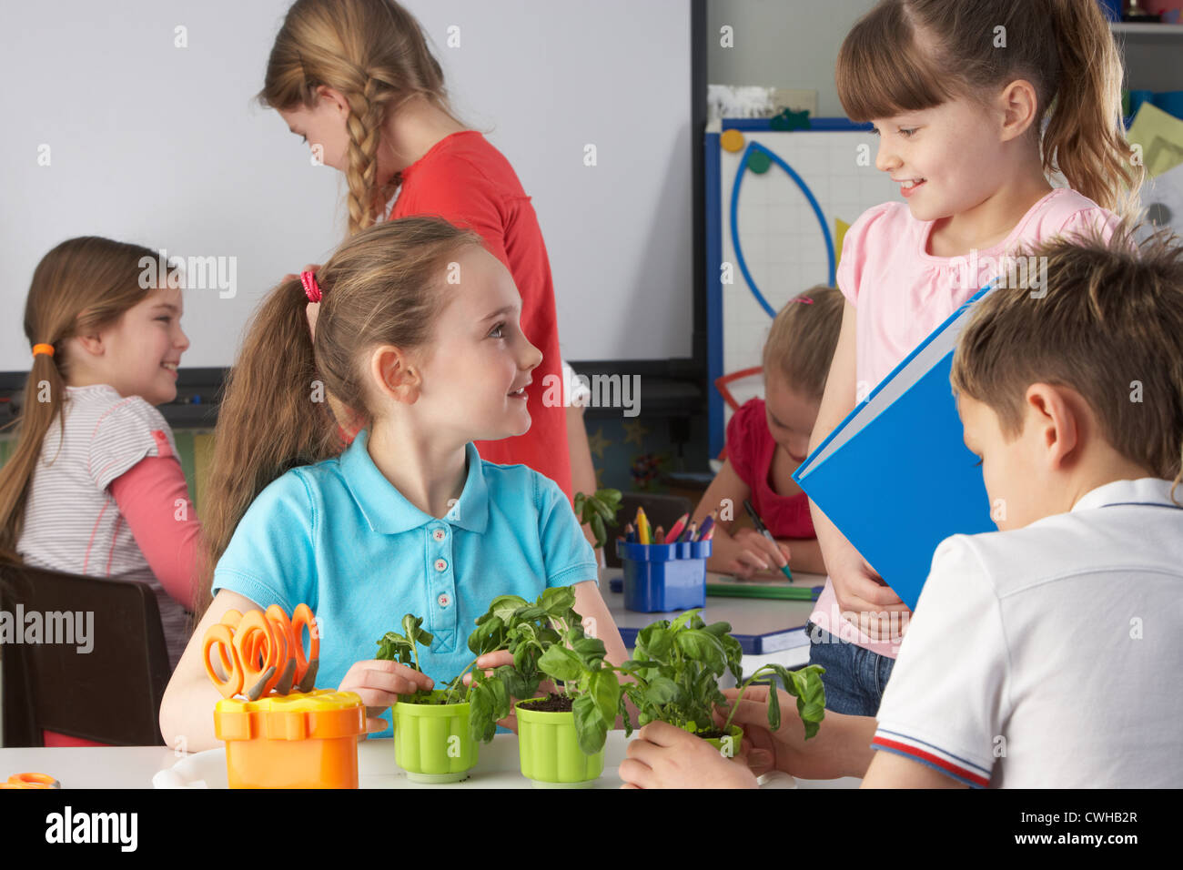 Children learning about plants in school class Stock Photo - Alamy