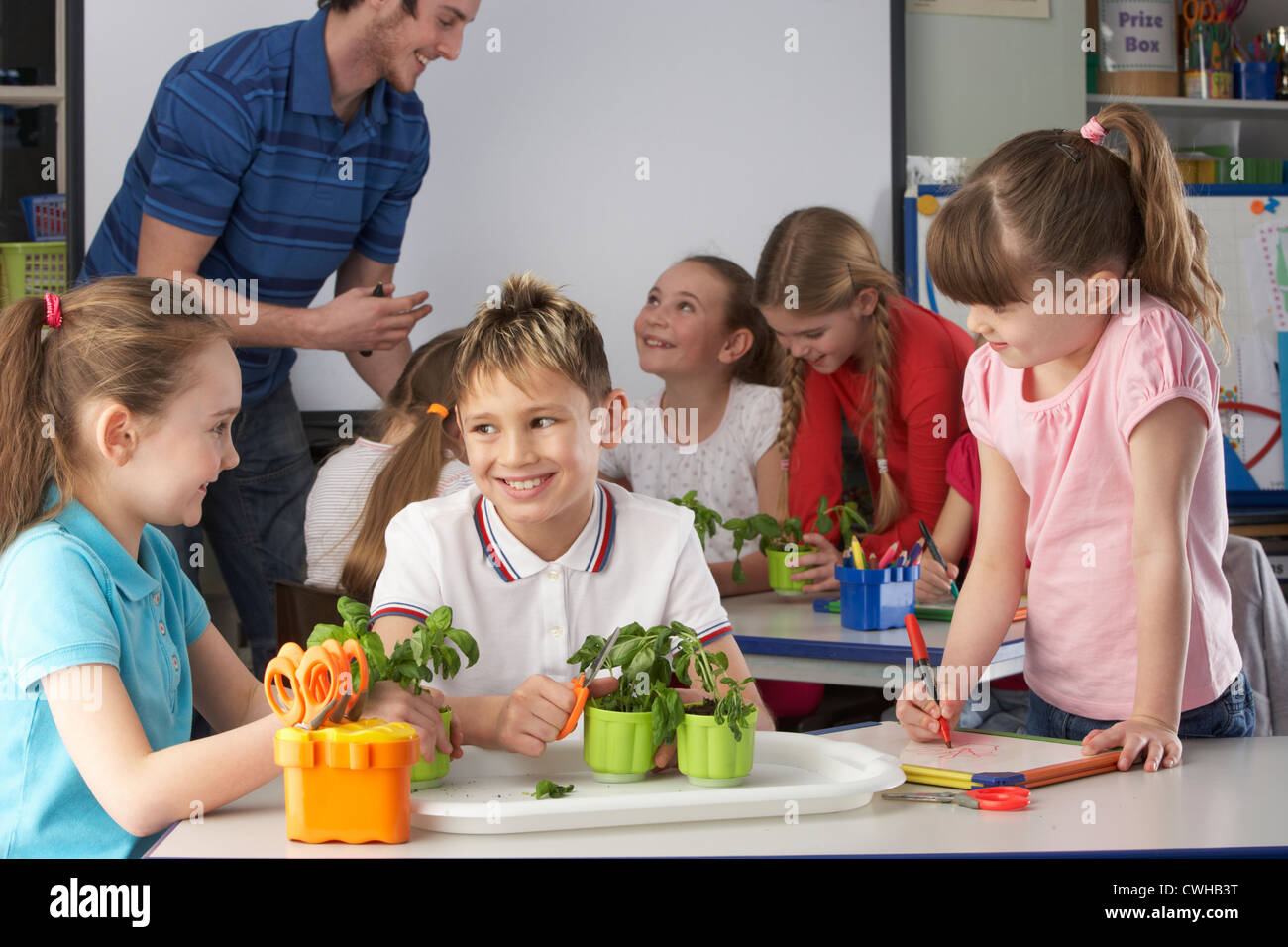 Children learning about plants in school class Stock Photo - Alamy