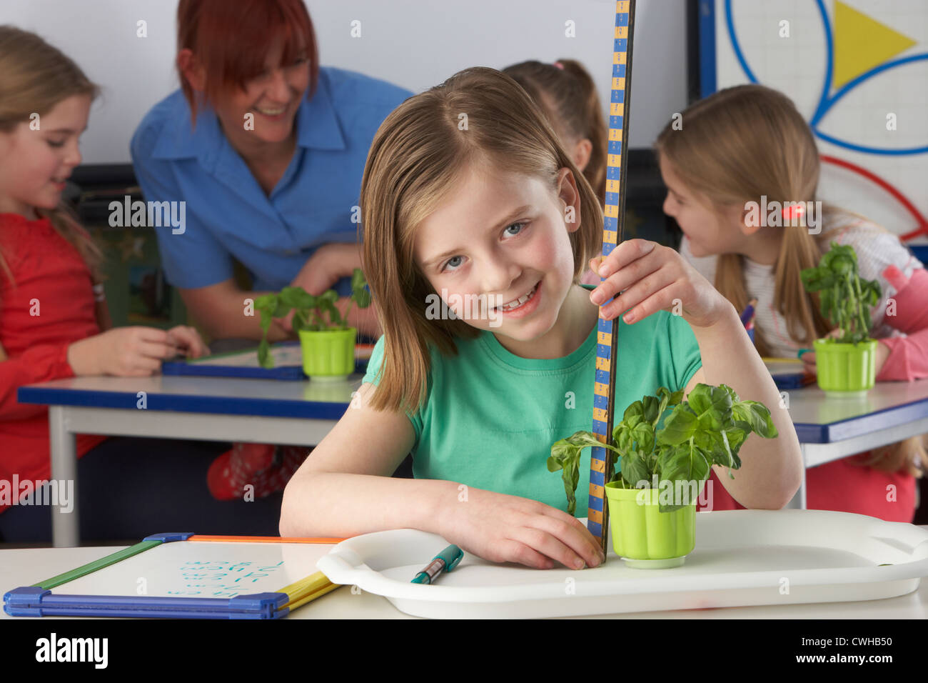 Girl learning about plants in school class Stock Photo - Alamy