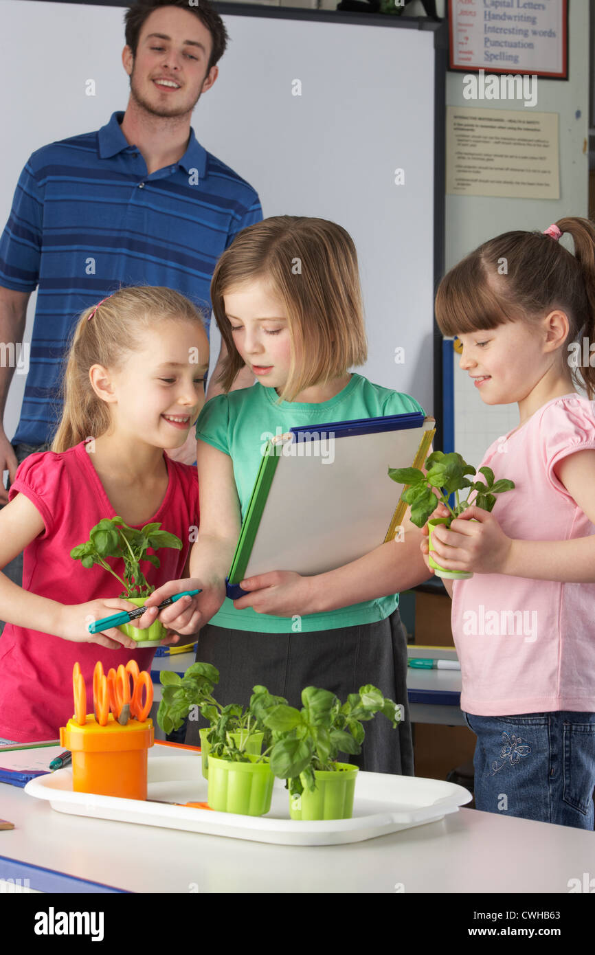Girls learning about plants in school class Stock Photo - Alamy