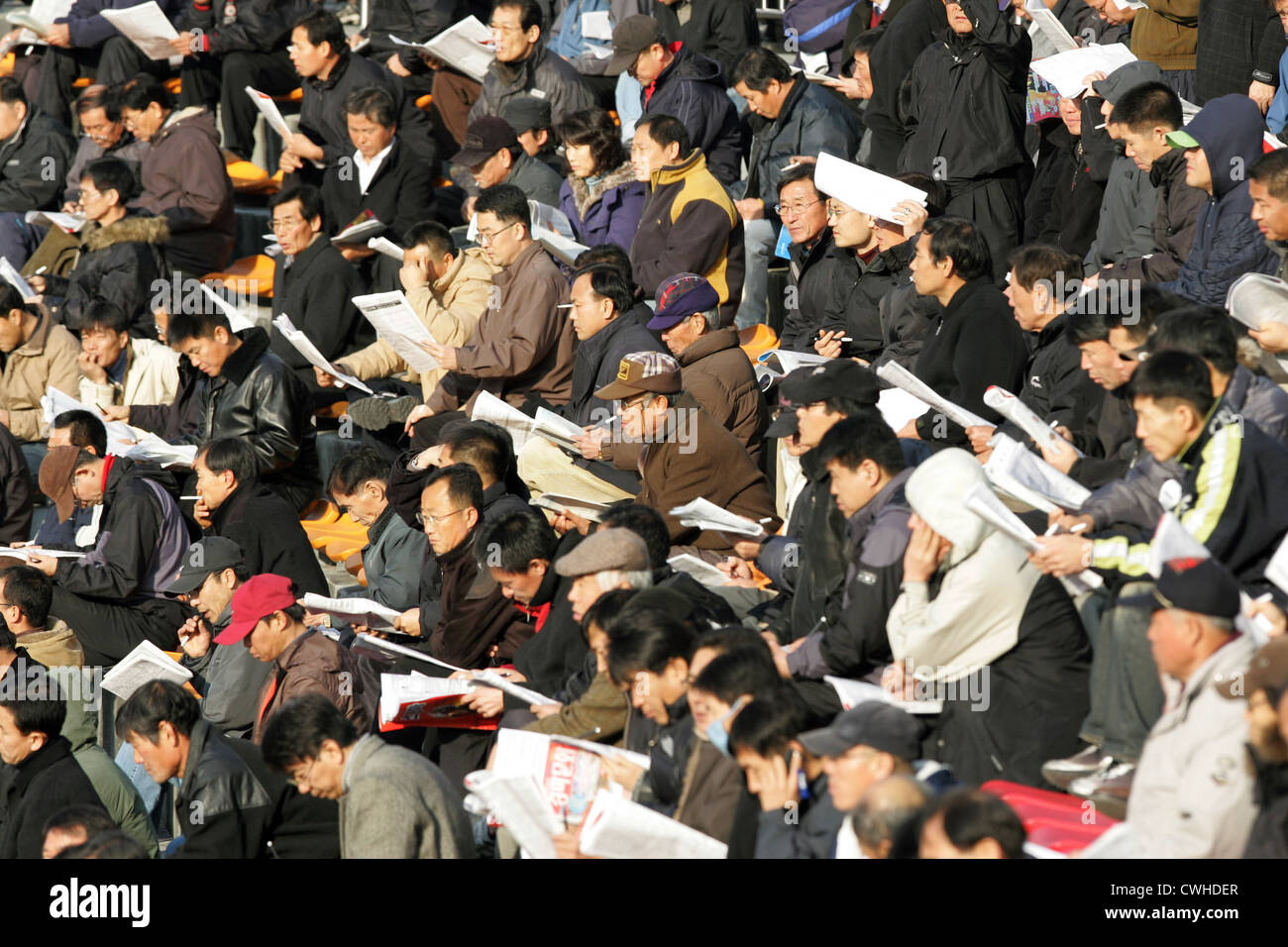 Spectators social hi-res stock photography and images - Alamy