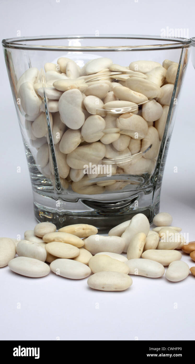 White beans close up Stock Photo - Alamy