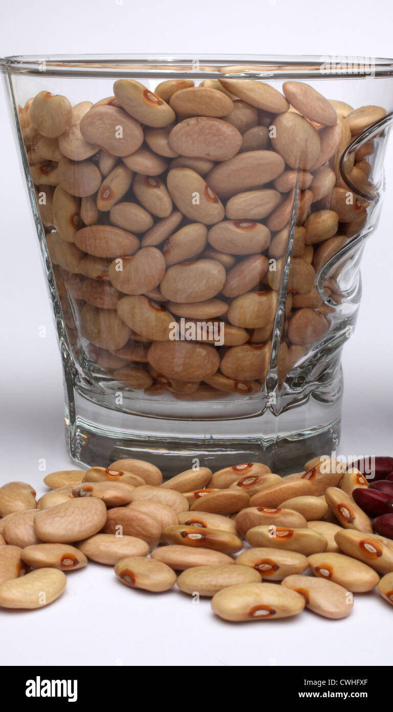 Brown beans close up Stock Photo - Alamy