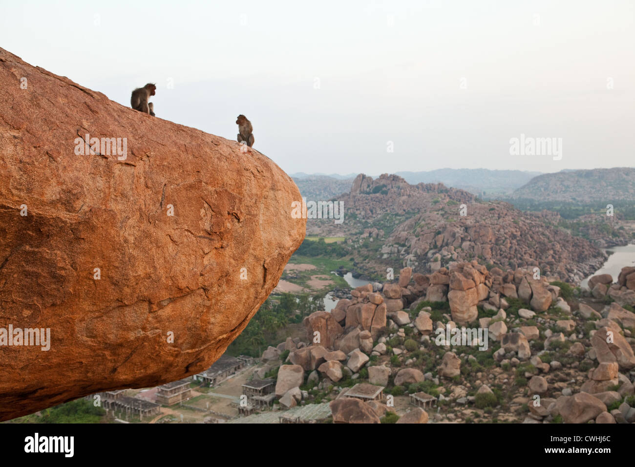 Monkeys watching the sunrise from Matanga Hill in Hampi, Karnataka ...