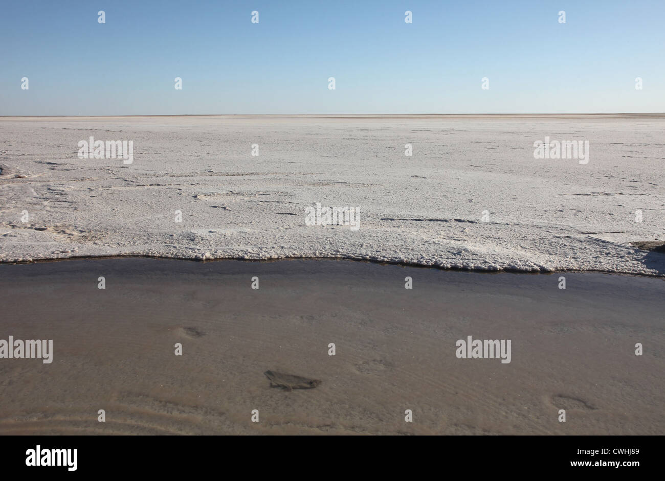 Chott el Jerid (biggest salt lake in north Africa), Tunisia Stock Photo ...