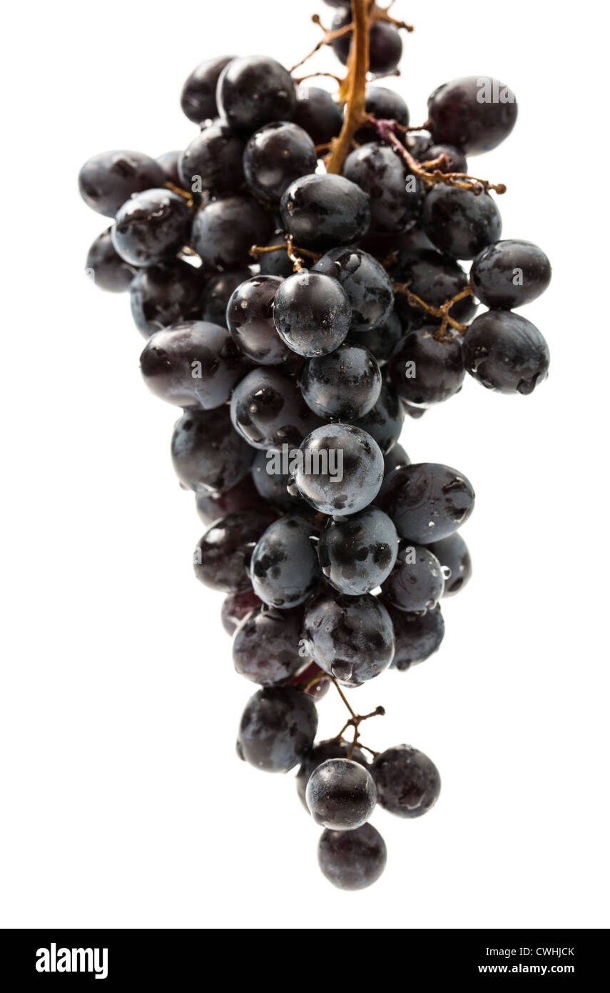 Single grape cluster hi-res stock photography and images - Alamy