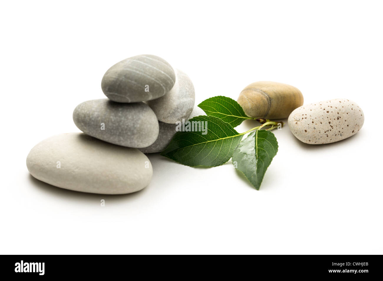 Stones with leaves on white background Stock Photo - Alamy