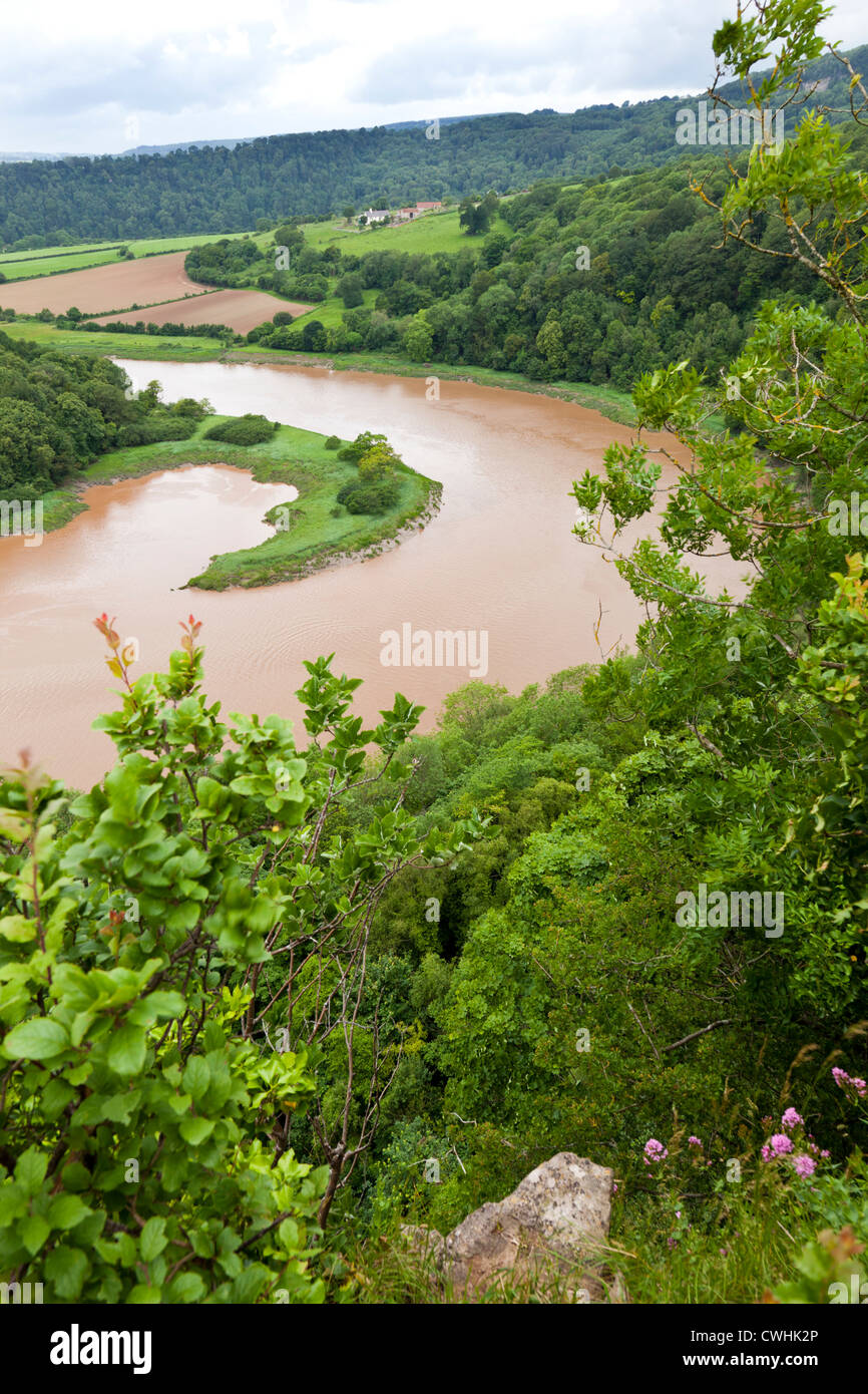 A sharp bend in the River Wye at high water viewed from Wintours Leap ...