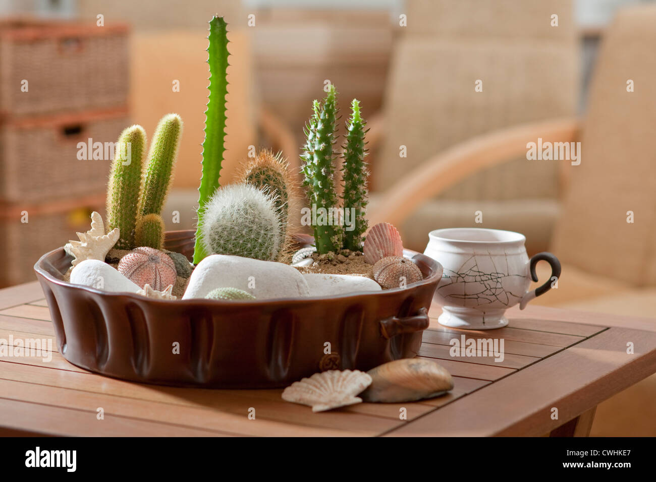 Cactus Sand Dish Stock Photo - Alamy