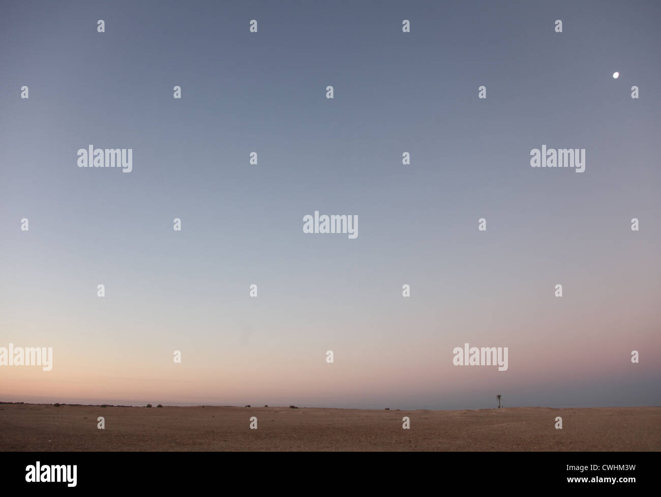 Morning in Sahara desert Stock Photo - Alamy
