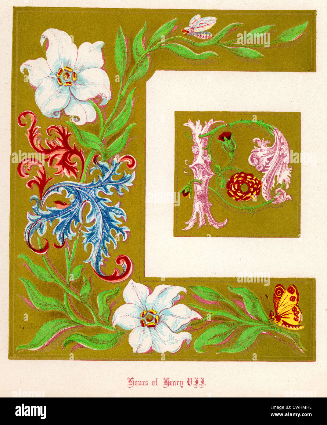 Medieval engraving pattern hi-res stock photography and images - Alamy