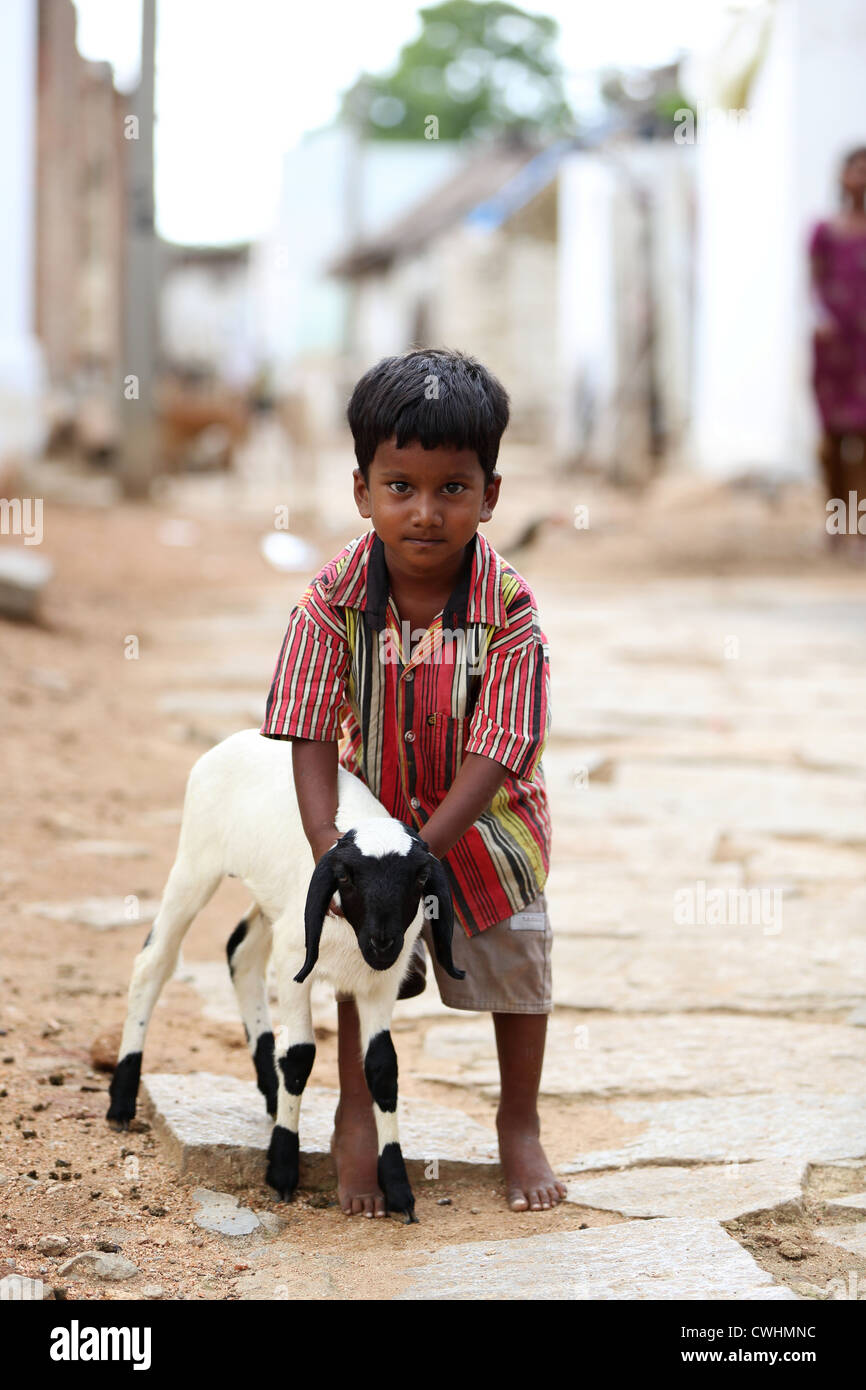 Indian Goat Stock Photos & Indian Goat Stock Images - Alamy