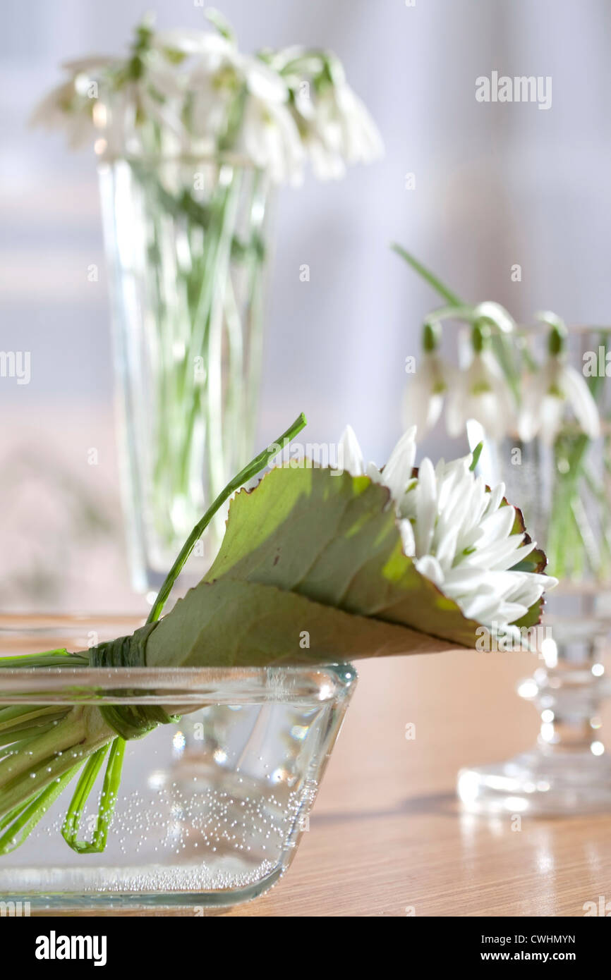 Snowdrop Flowers In Vase High Resolution Stock Photography and Images ...