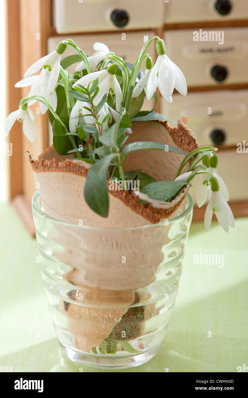 Snowdrops in Country Style Kitchen Stock Photo - Alamy
