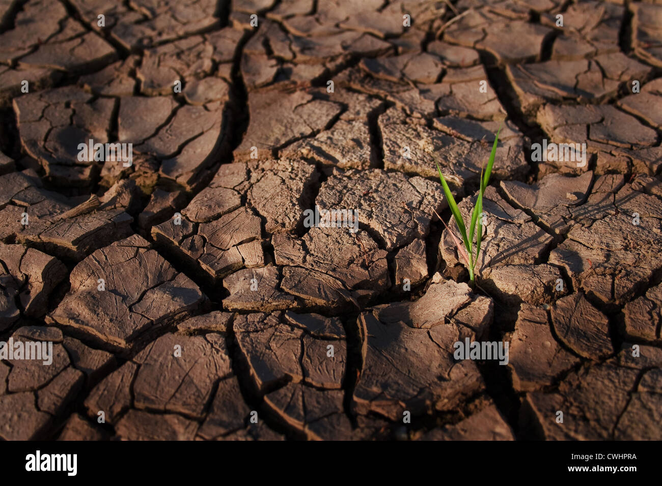 Drouth hi-res stock photography and images - Alamy