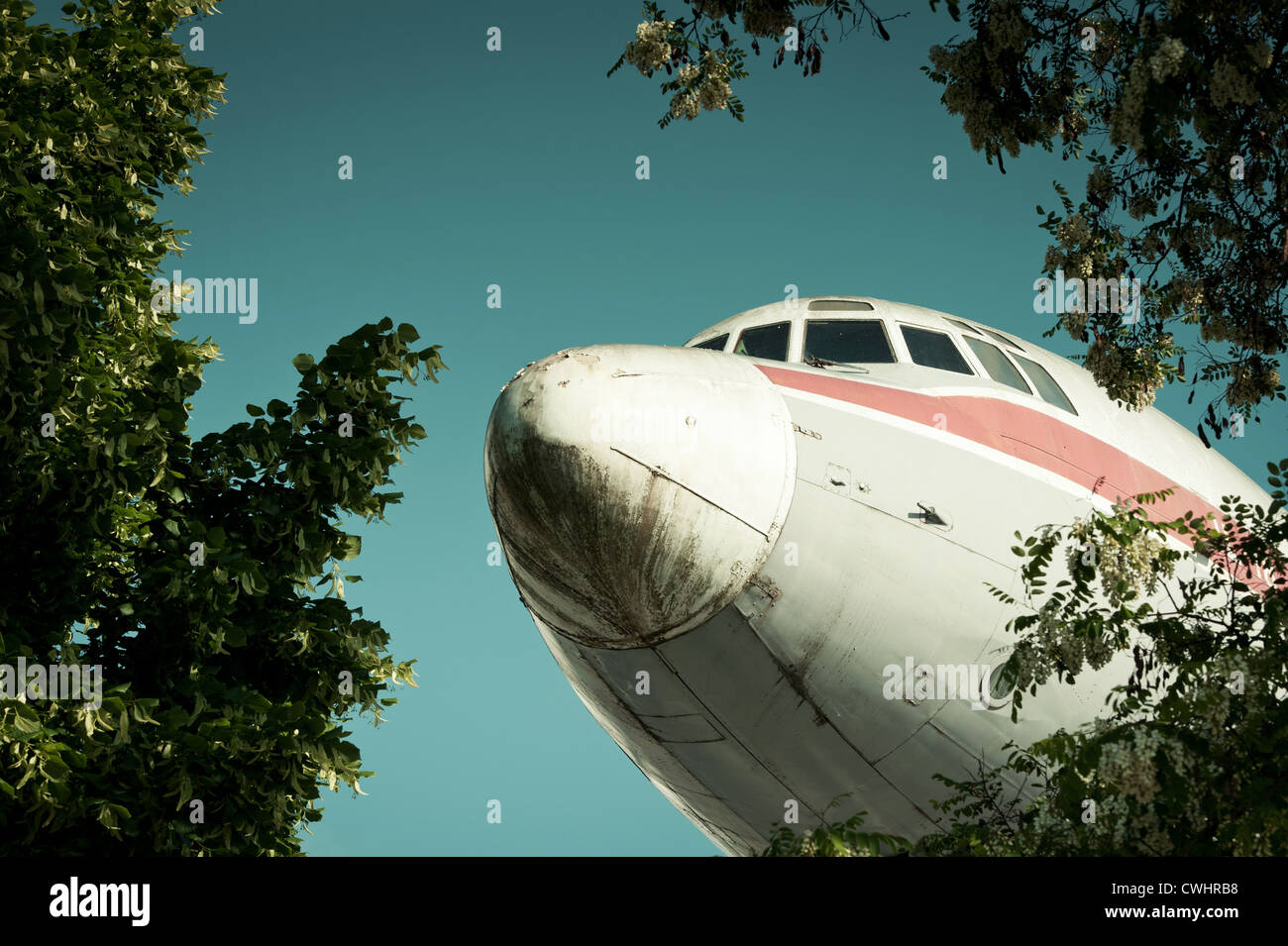 Cone Nose High Resolution Stock Photography and Images - Alamy