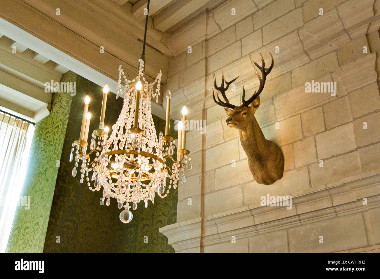 France, Loire valley, Chambord, Trophy hunting Stock Photo - Alamy