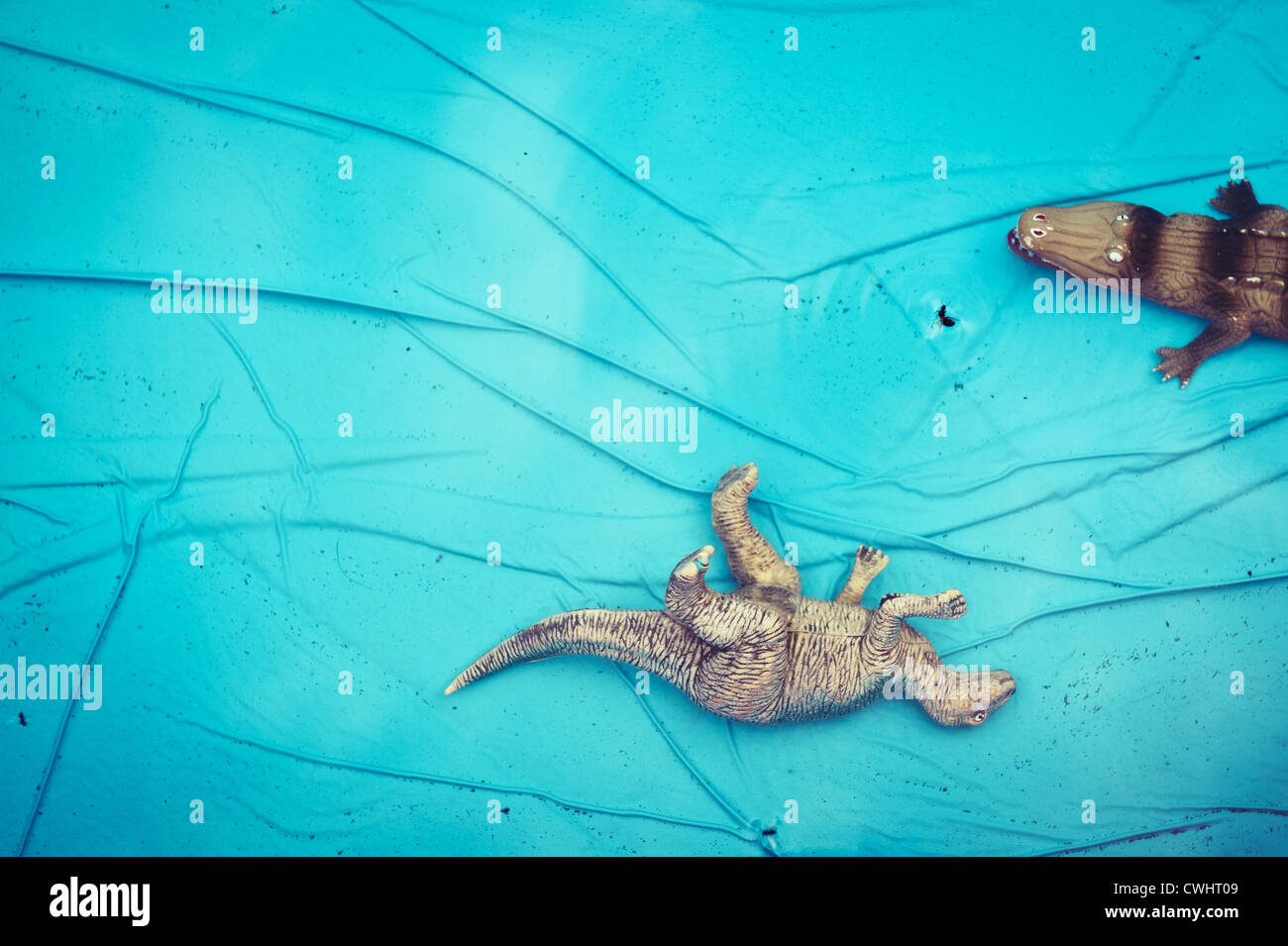 Kids And Pools High Resolution Stock Photography and Images - Alamy