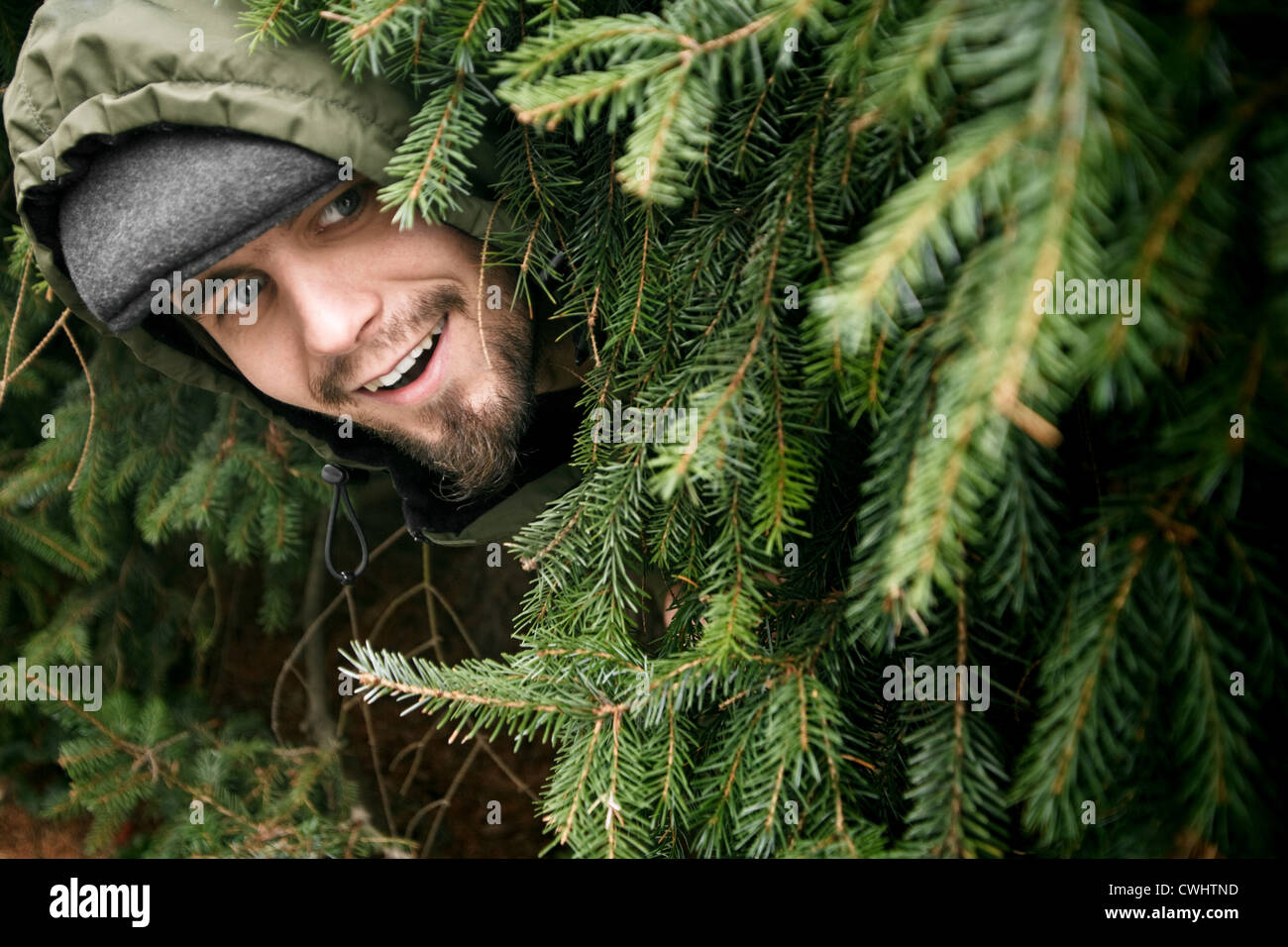 Hiding Secret High Resolution Stock Photography and Images - Alamy