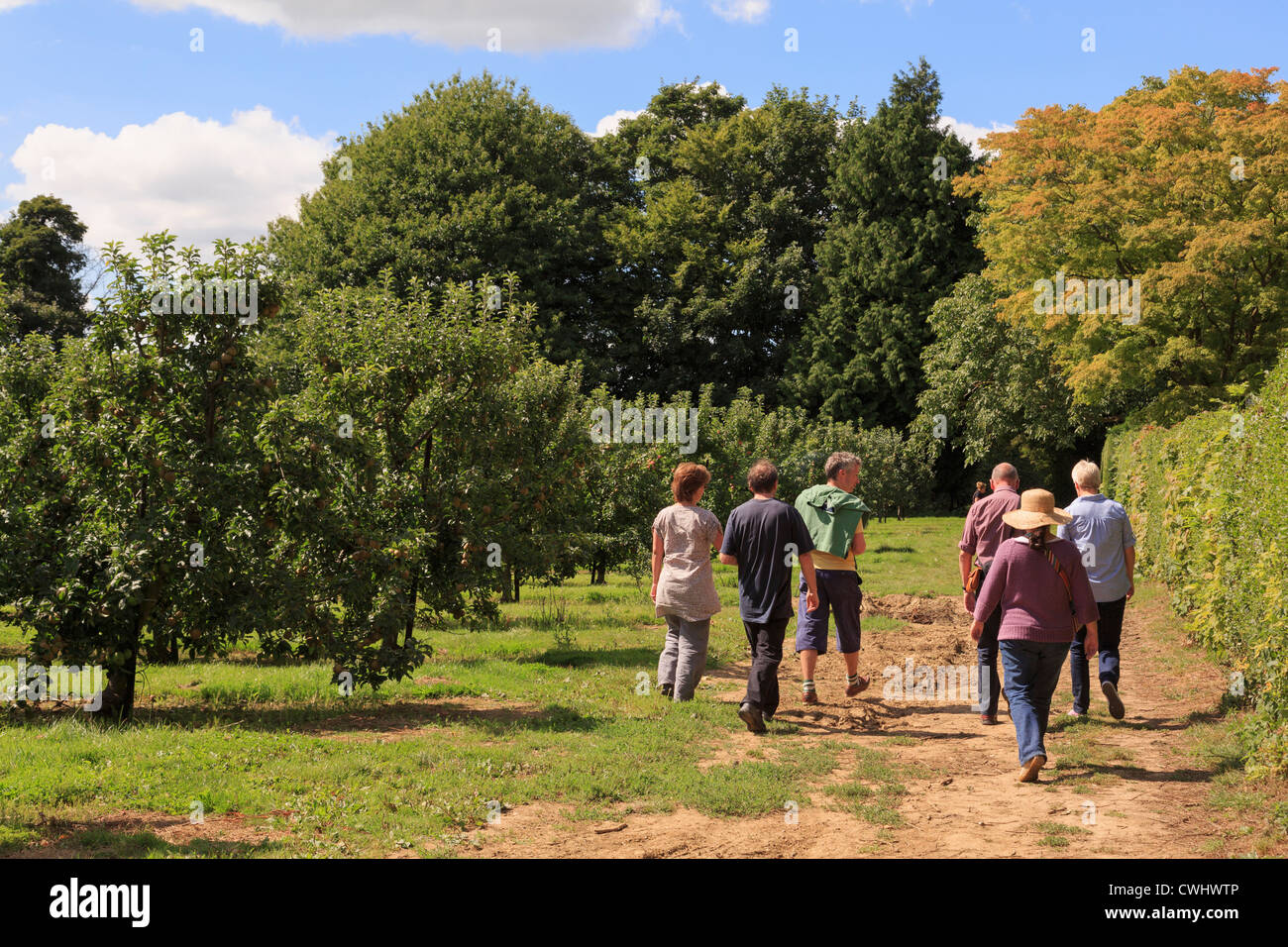 Orchard With Walkers High Resolution Stock Photography and Images - Alamy