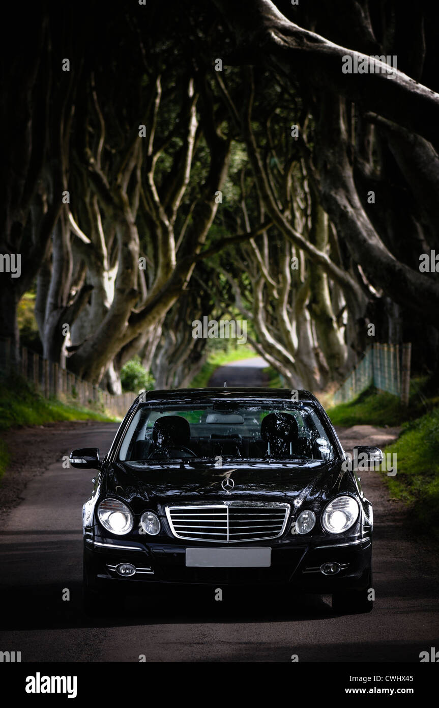 Dark hedges car hi-res stock photography and images - Alamy