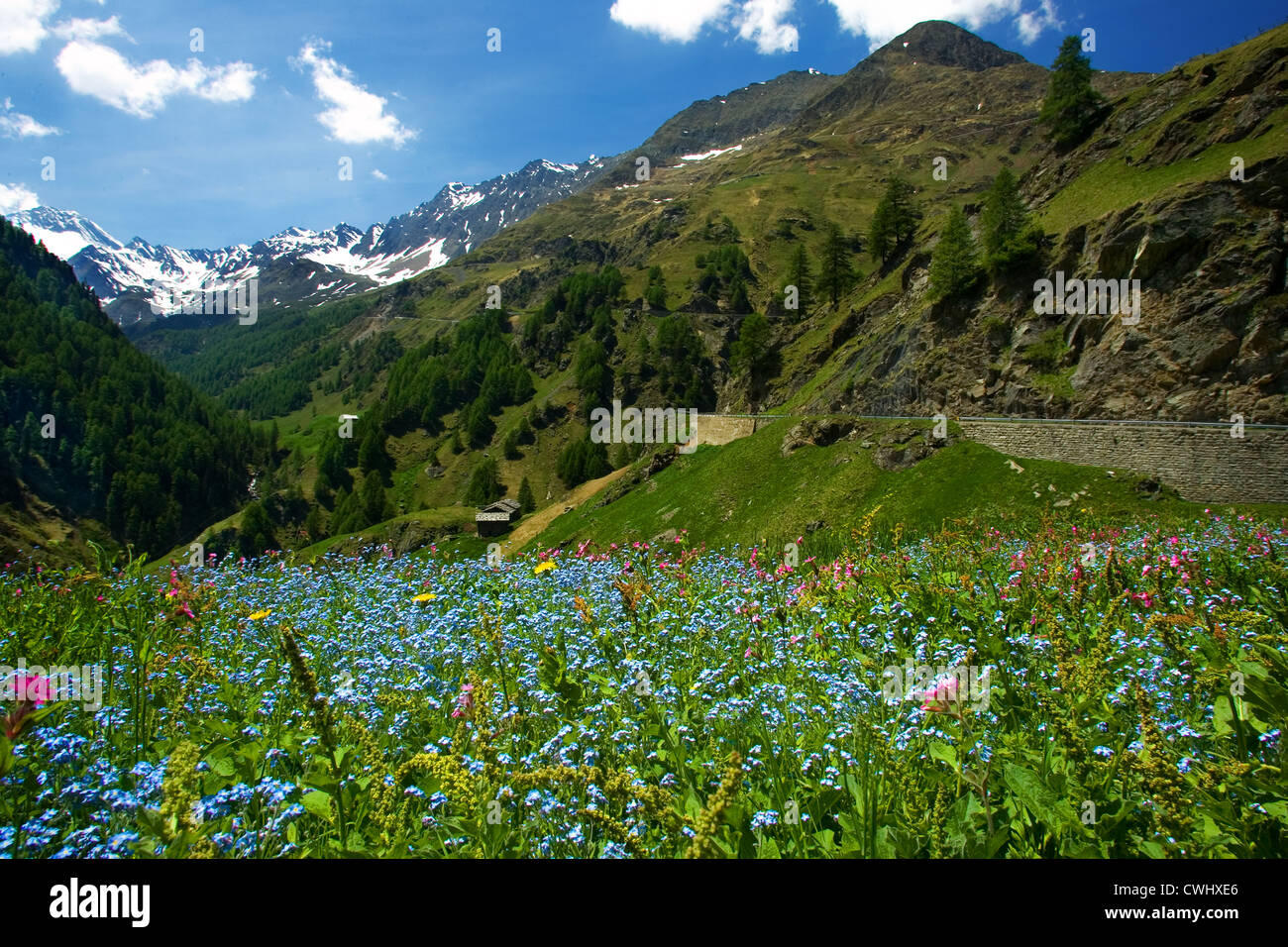 Springtime in Austria Stock Photo - Alamy