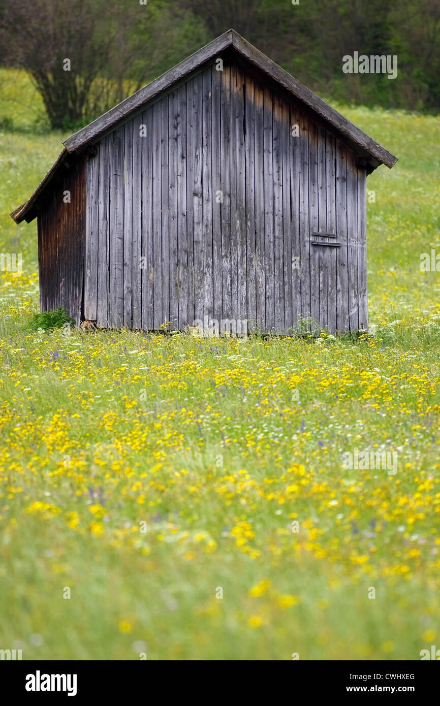 Old flowers and wooden landscapes hi-res stock photography and images ...