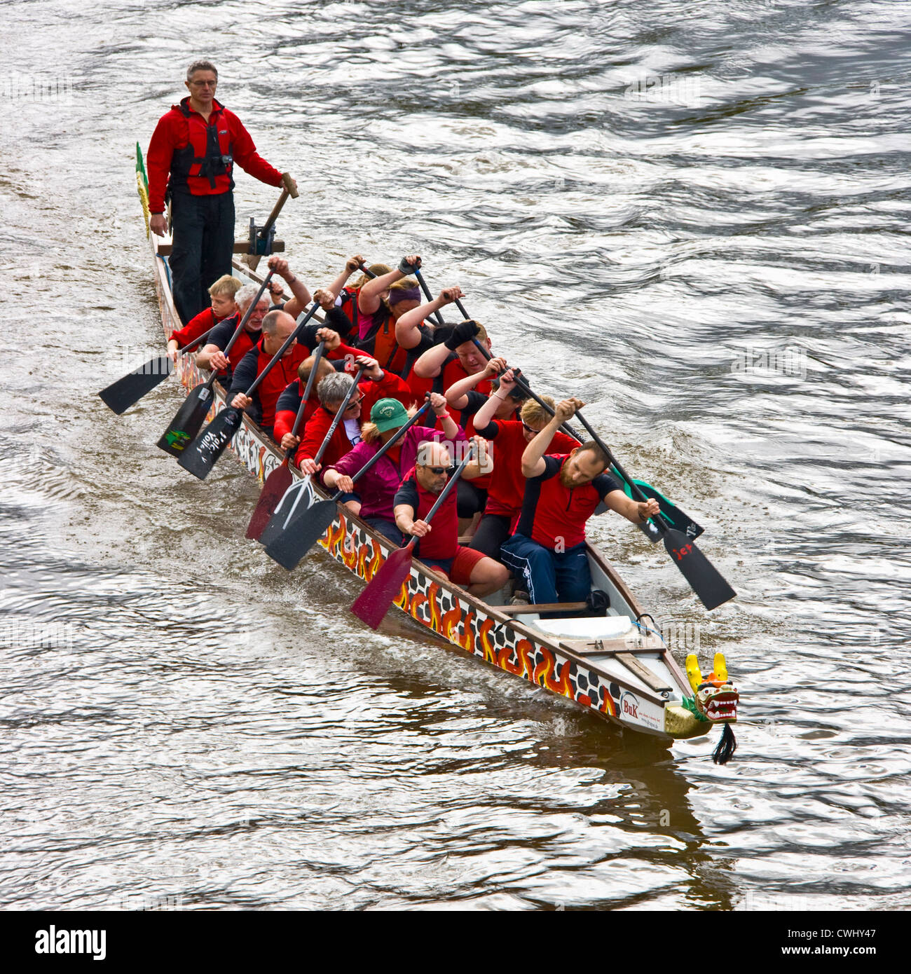 Dragon boat team training on the River Severn Worcester Worcestershire ...