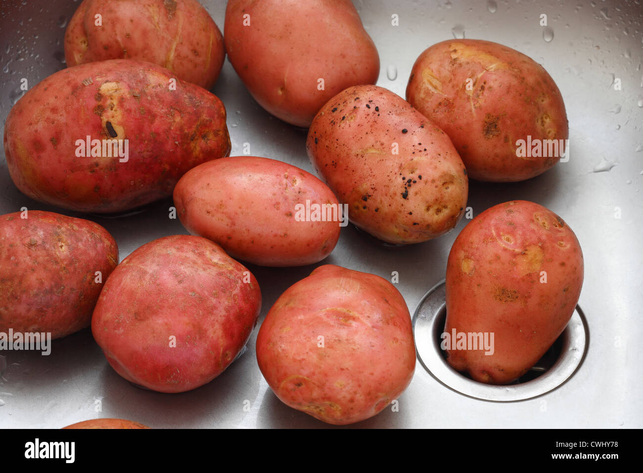 Washing unpeeled potatoes in the kitchen sink Stock Photo - Alamy