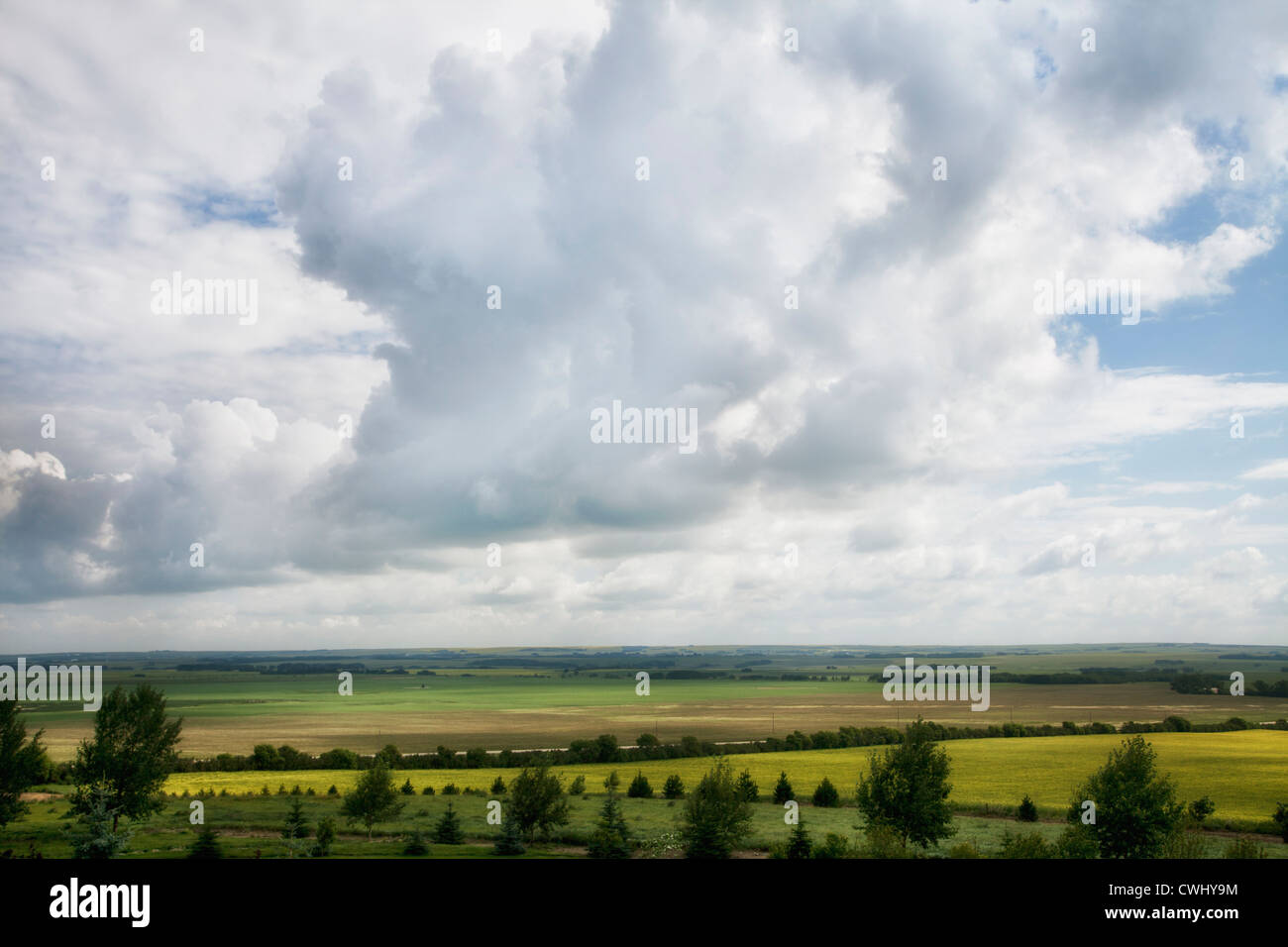 Big Blue Sky and Clouds and the Alberta Prairie Horizon on a summer day ...