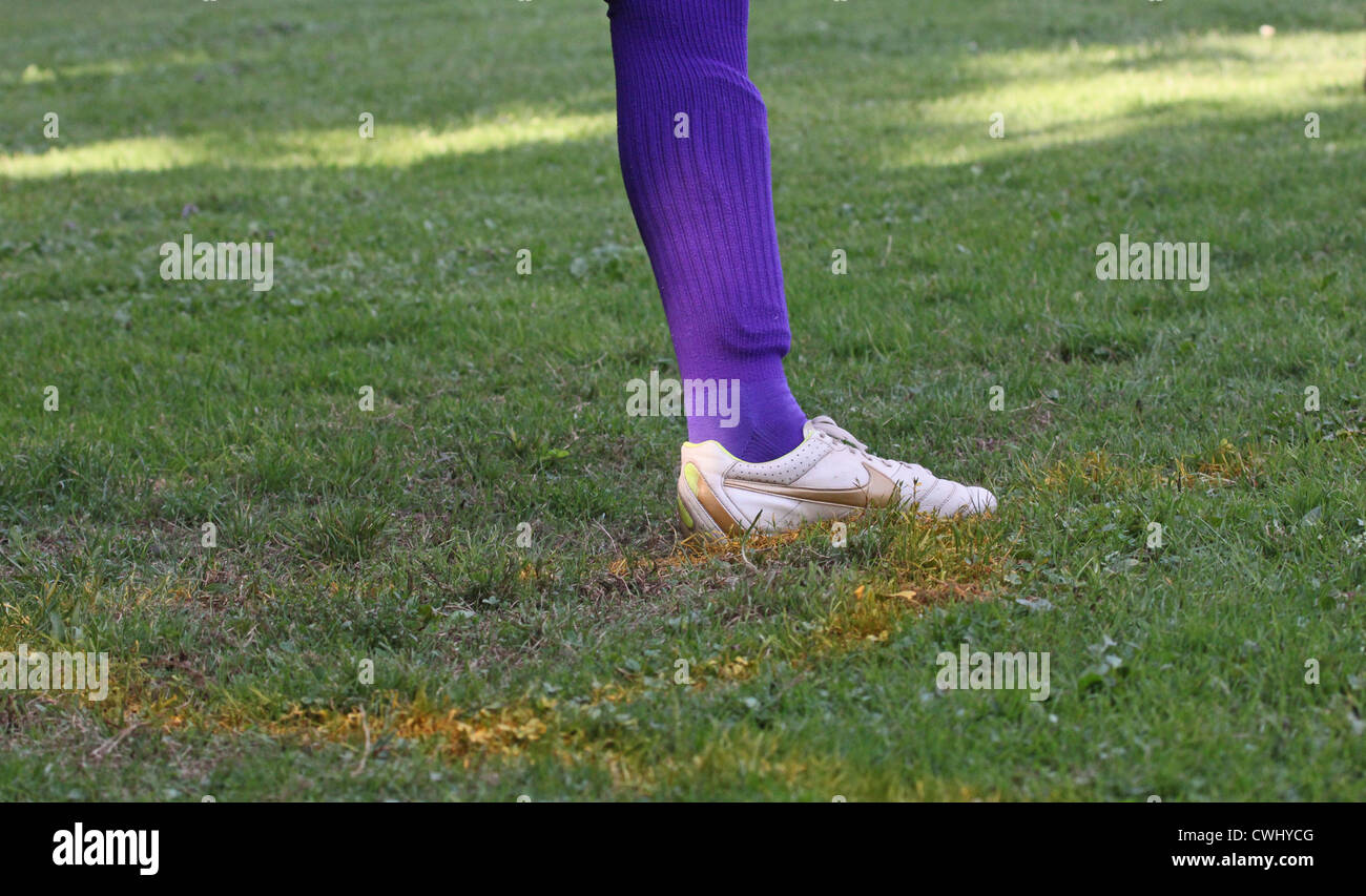Football plants hi-res stock photography and images - Alamy