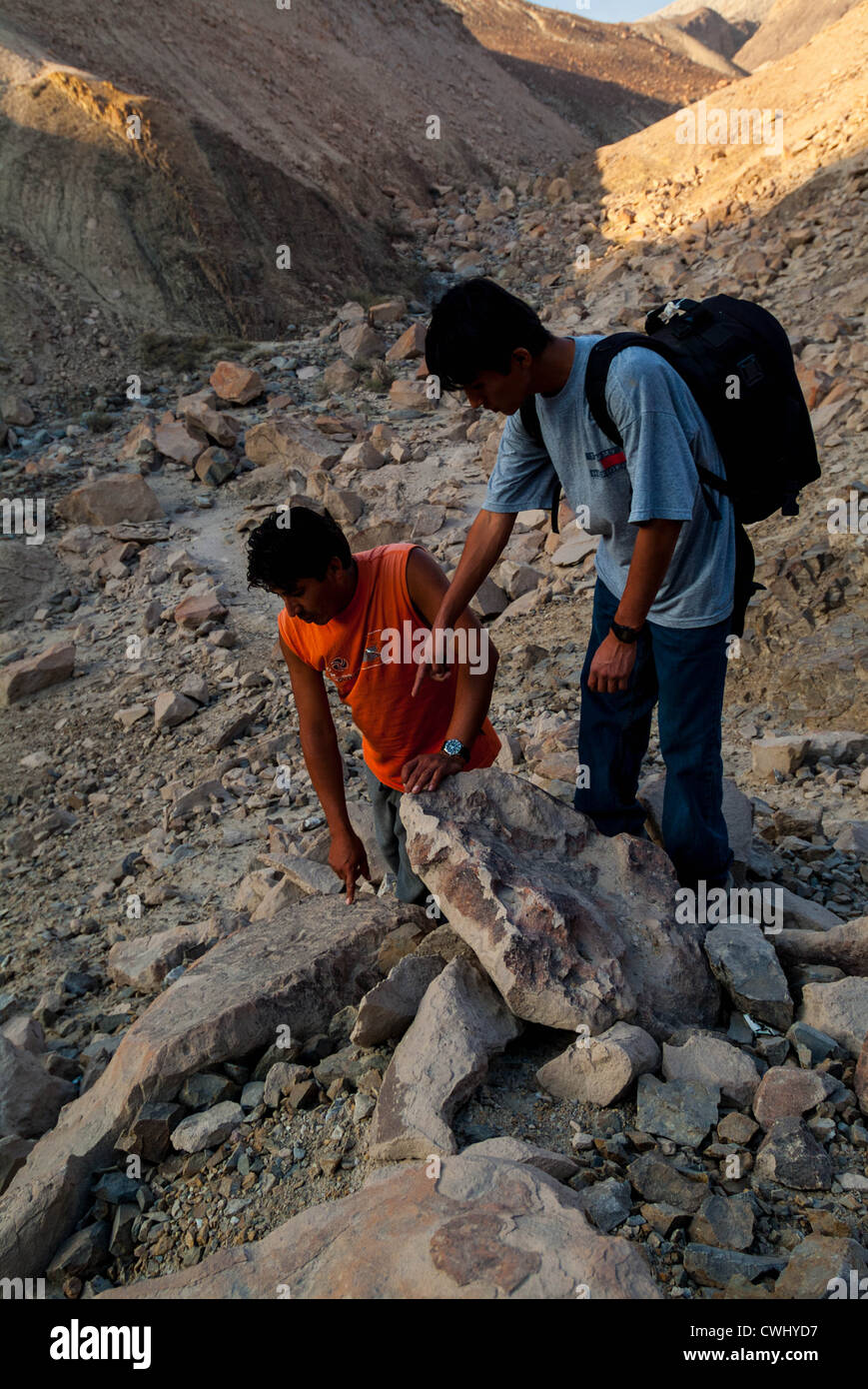 Peruvian guides pointing out petroglyphs at Palpa Peru Petroglyphs of ...