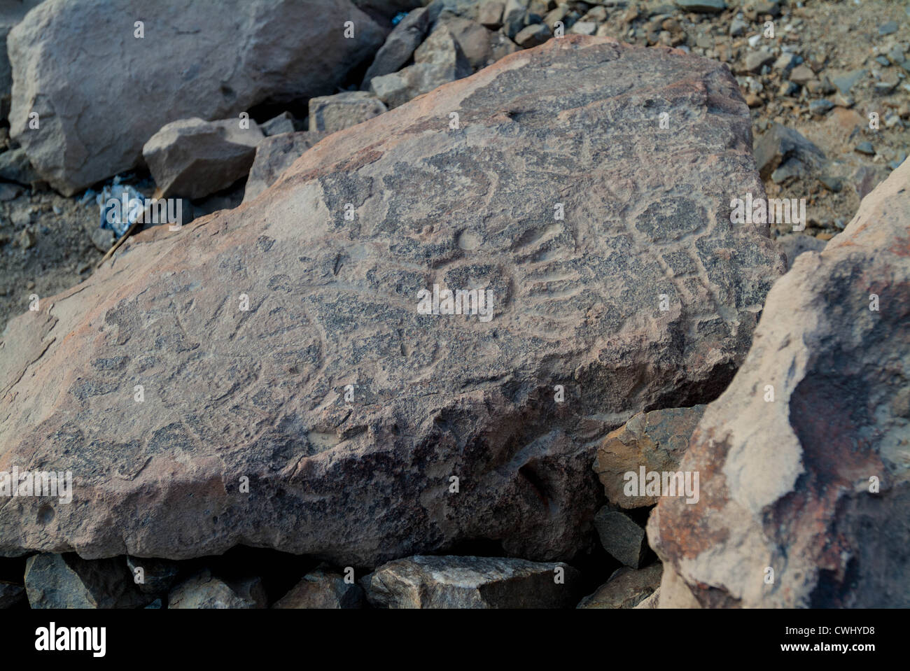 Petroglyphs peru hi-res stock photography and images - Alamy