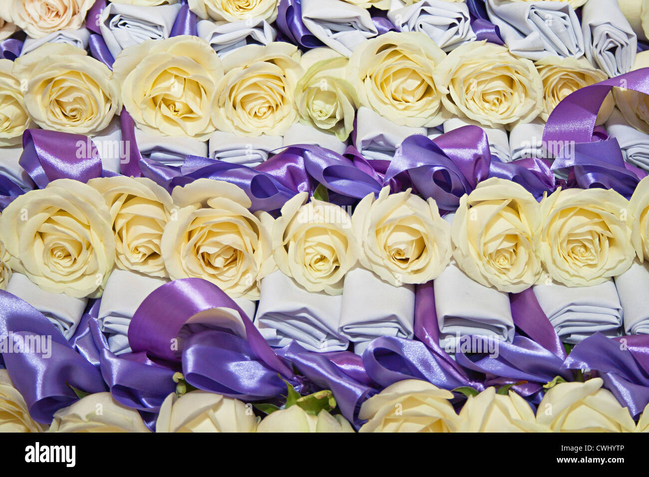 many white rose with ribbon for holiday Stock Photo - Alamy