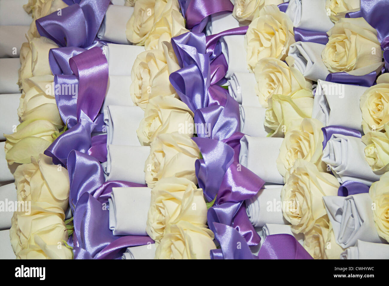 Rose with many petals hi-res stock photography and images - Alamy