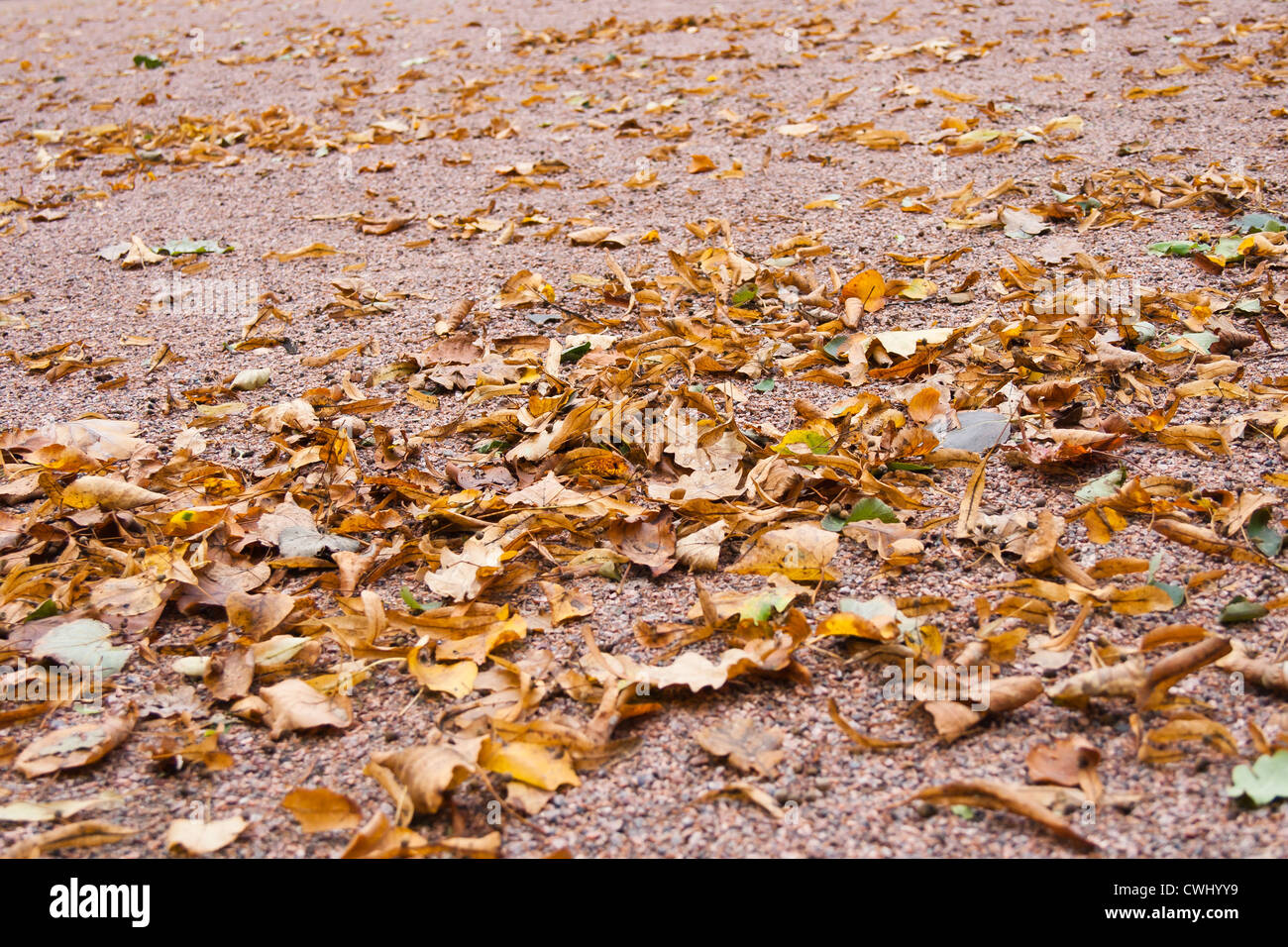 Flat stone on ground hi-res stock photography and images - Alamy