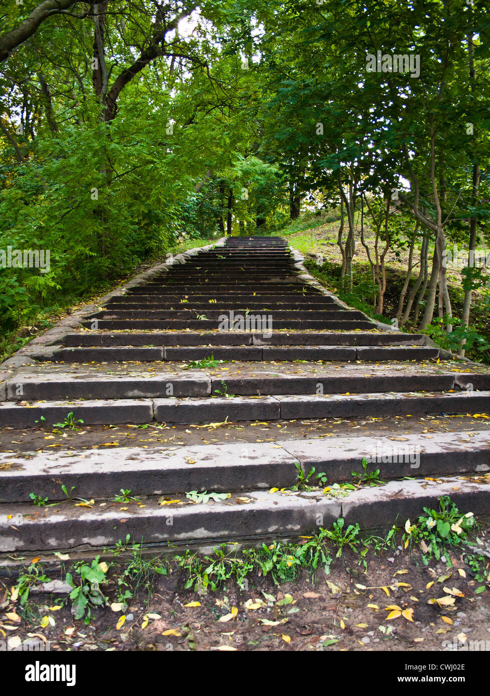 gray stone steps in forest park Stock Photo - Alamy