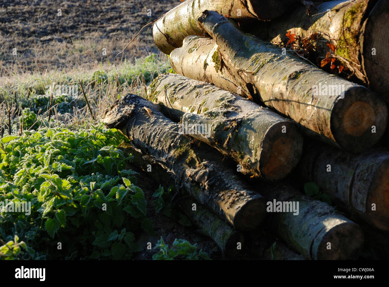 Ready for frost hi-res stock photography and images - Alamy